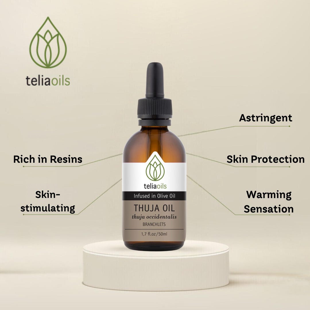 Thuja Infused Oil Extract (macerated Oil), Useful for Skin Problems 1.7 ...