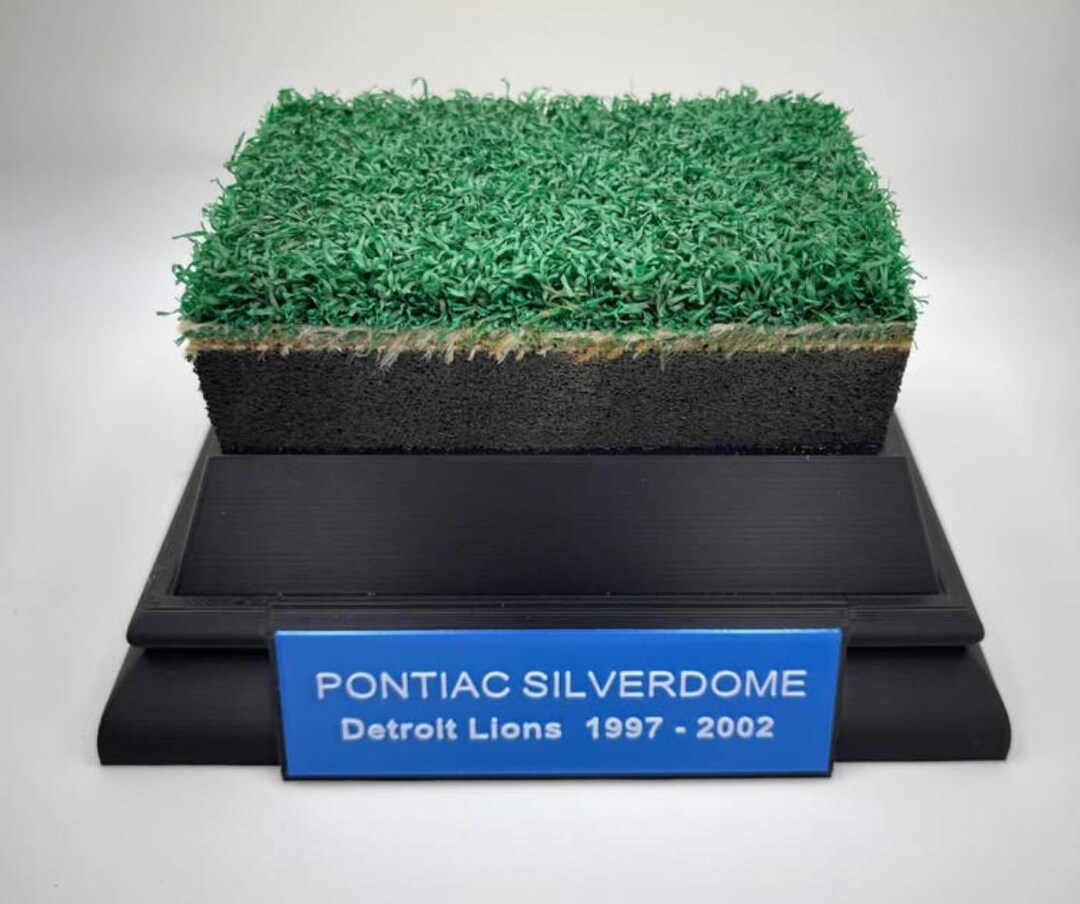 Detroit Lions Pontiac Silverdome Game Used Turf - Etsy