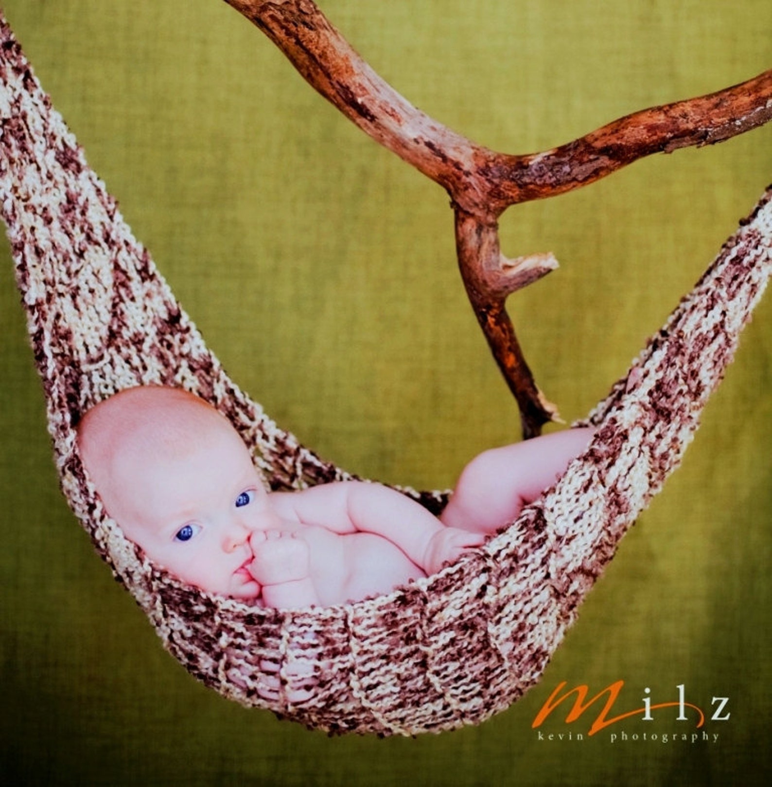 Birch Baby Hammock Newborn Photo Prop -- Ready to Ship! -- Over 500 ...