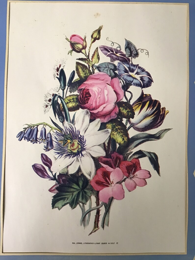 Vintage Paul Jerrard Botanical Print Framed Floral Bouquet - Etsy