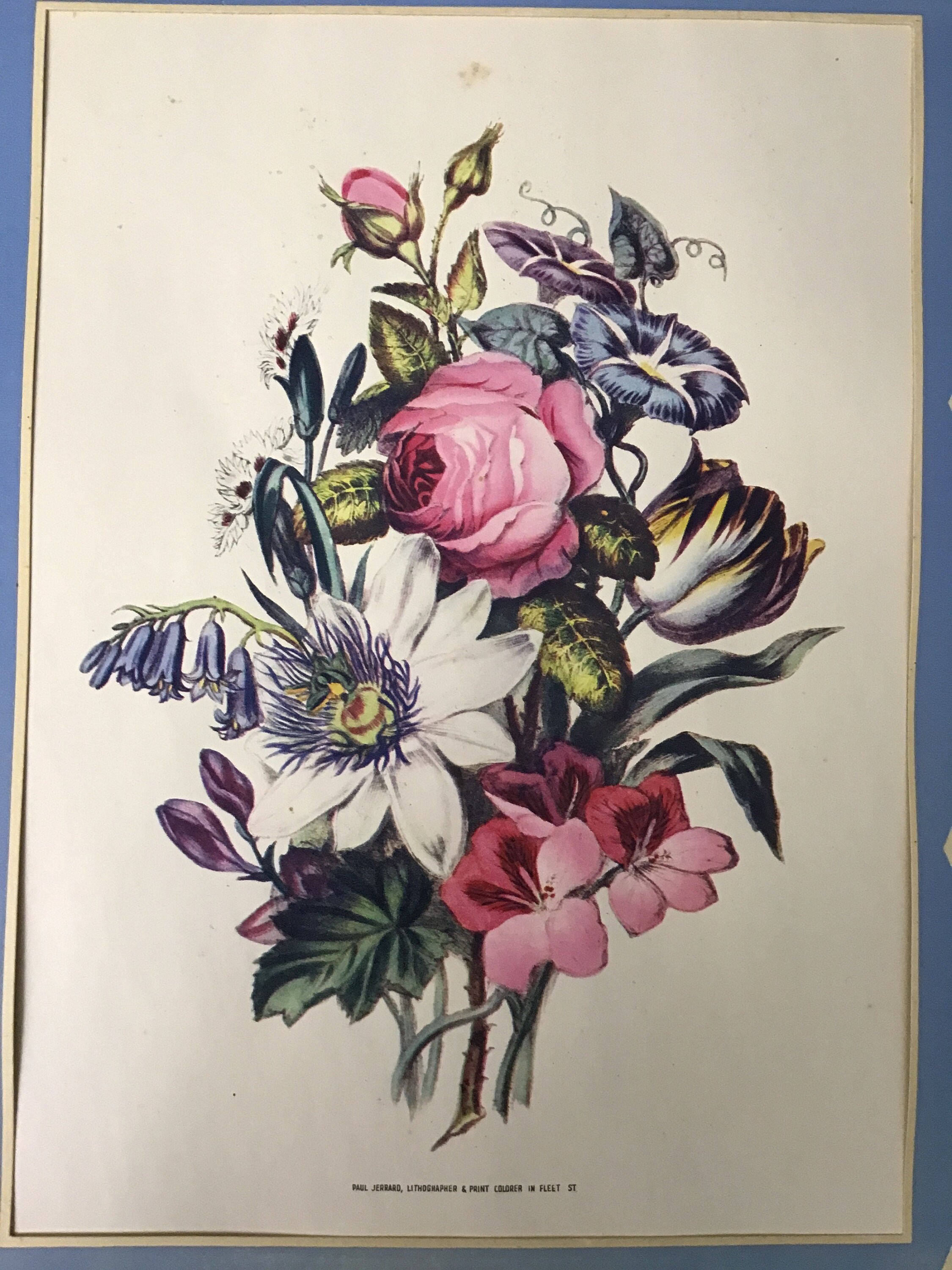 Vintage Paul Jerrard Botanical Print Framed Floral Bouquet - Etsy