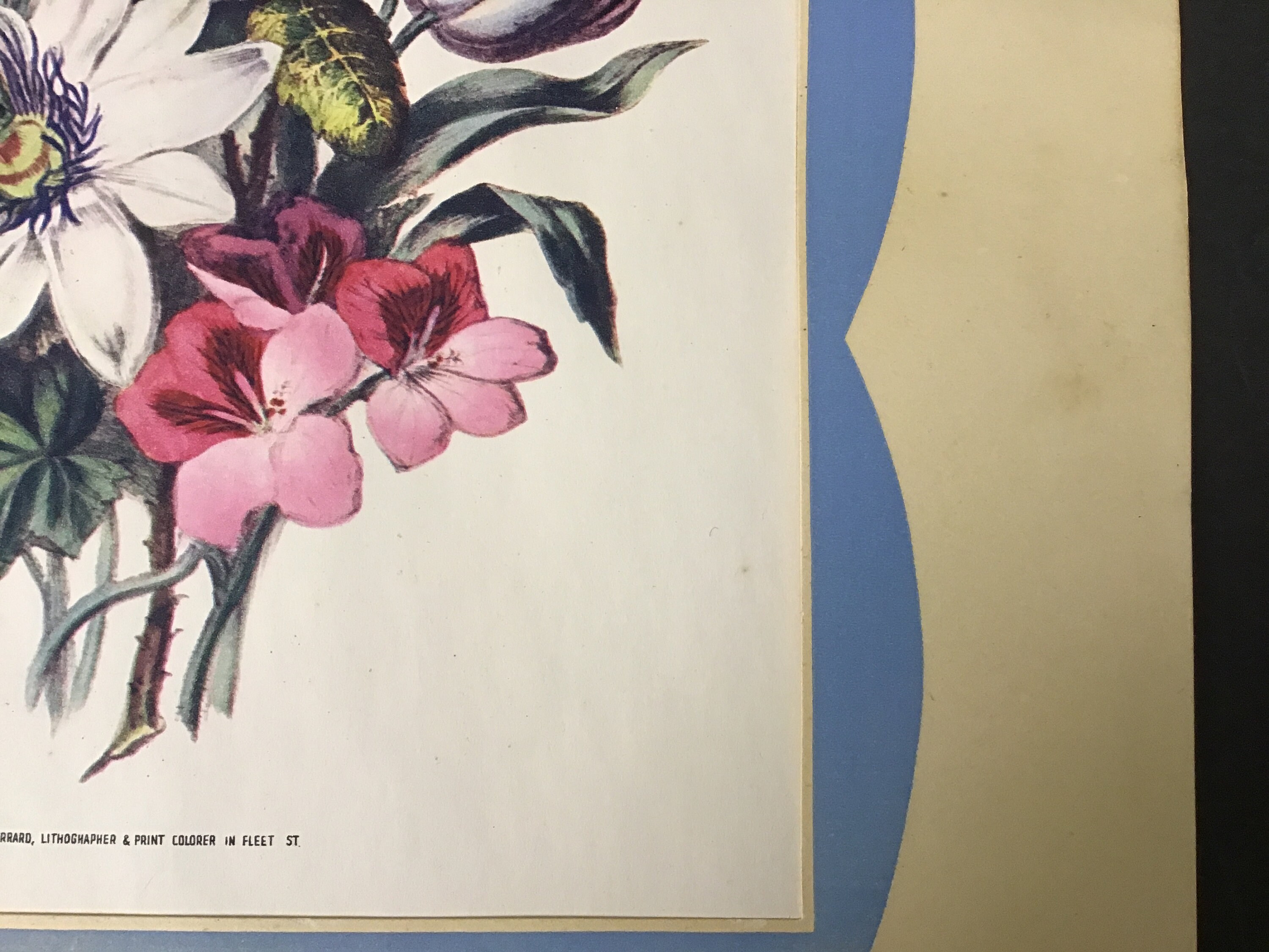 Vintage Paul Jerrard Botanical Print Framed Floral Bouquet - Etsy