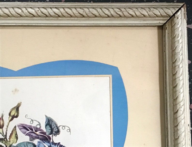 Vintage Paul Jerrard Botanical Print Framed Floral Bouquet - Etsy