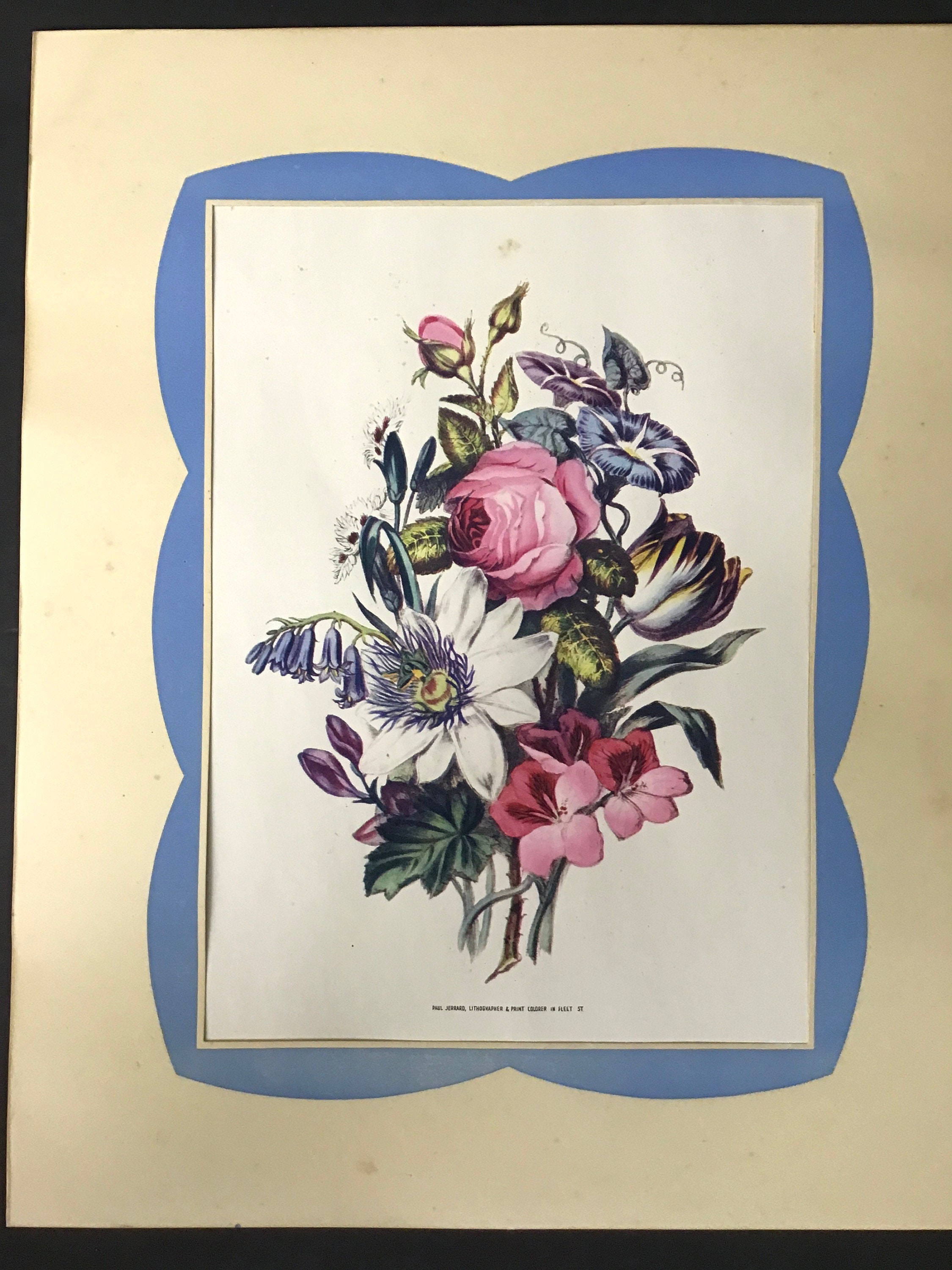 Vintage Paul Jerrard Botanical Print Framed Floral Bouquet - Etsy