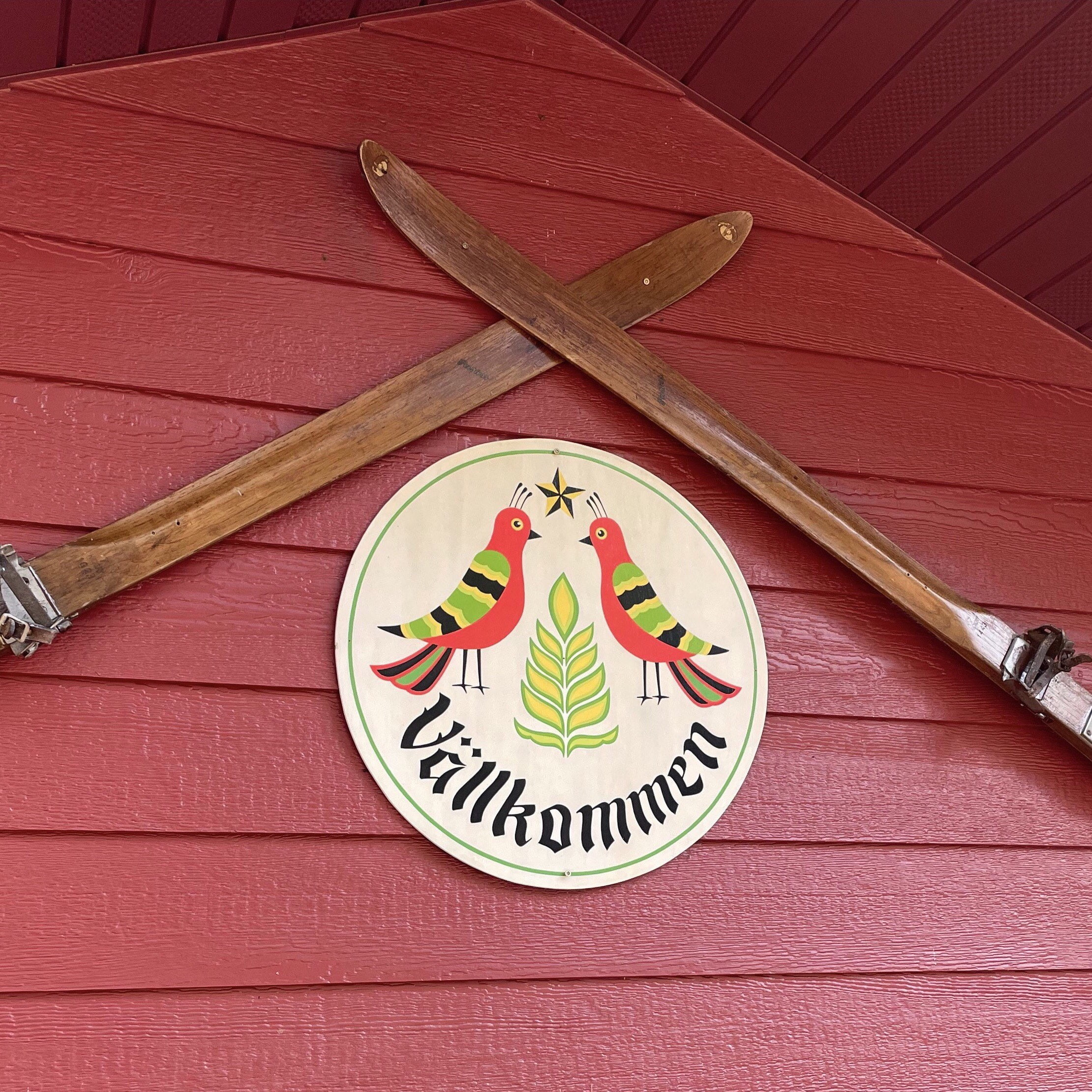 Distlefink Birds Welcome Hex Sign PA Dutch Style- Two Birds Under the ...