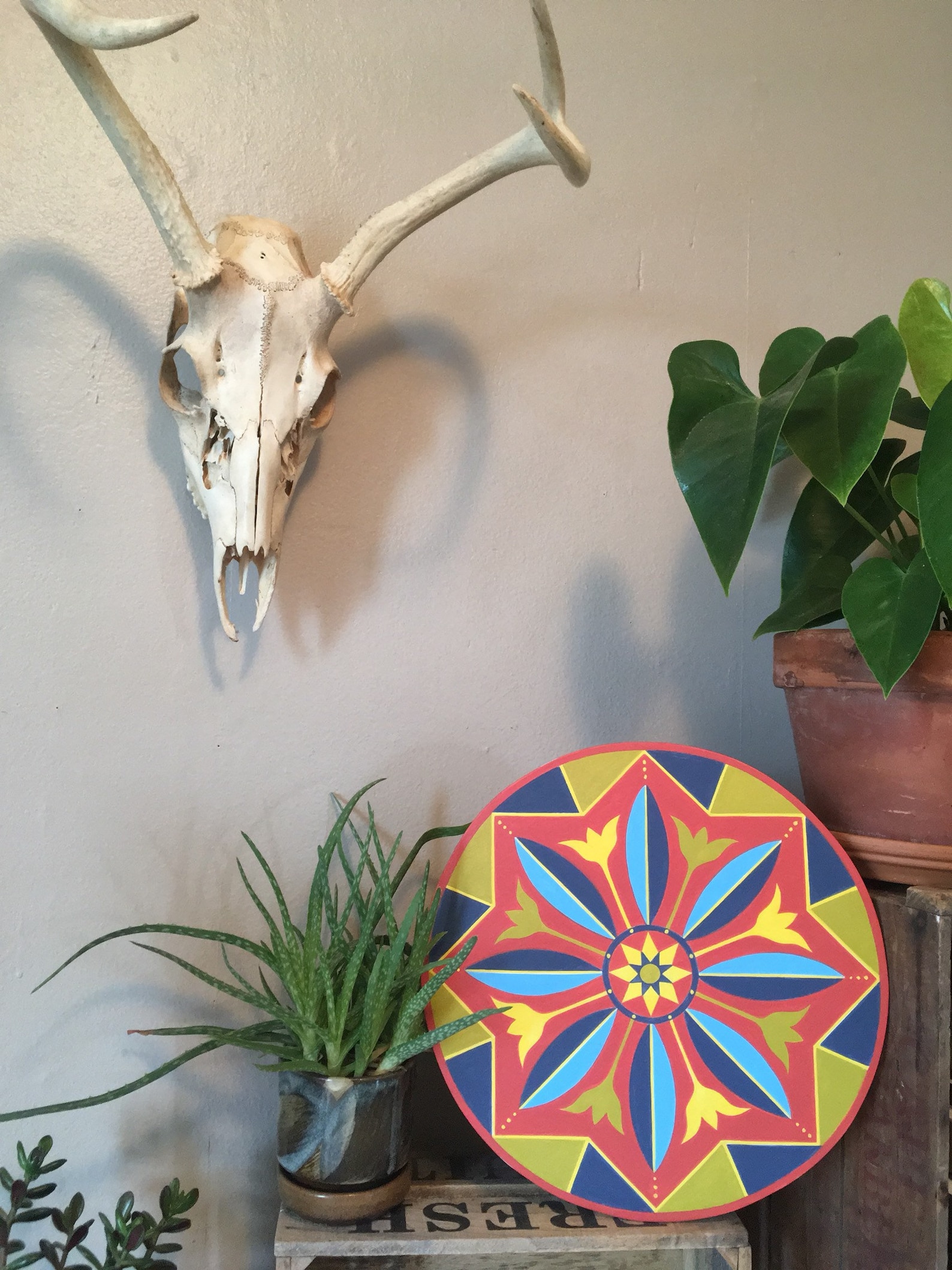 Tulip Garden Hunter Star Hex Sign PA Dutch Style Focusing on - Etsy