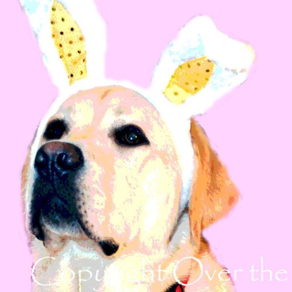 overthefenceart - Etsy