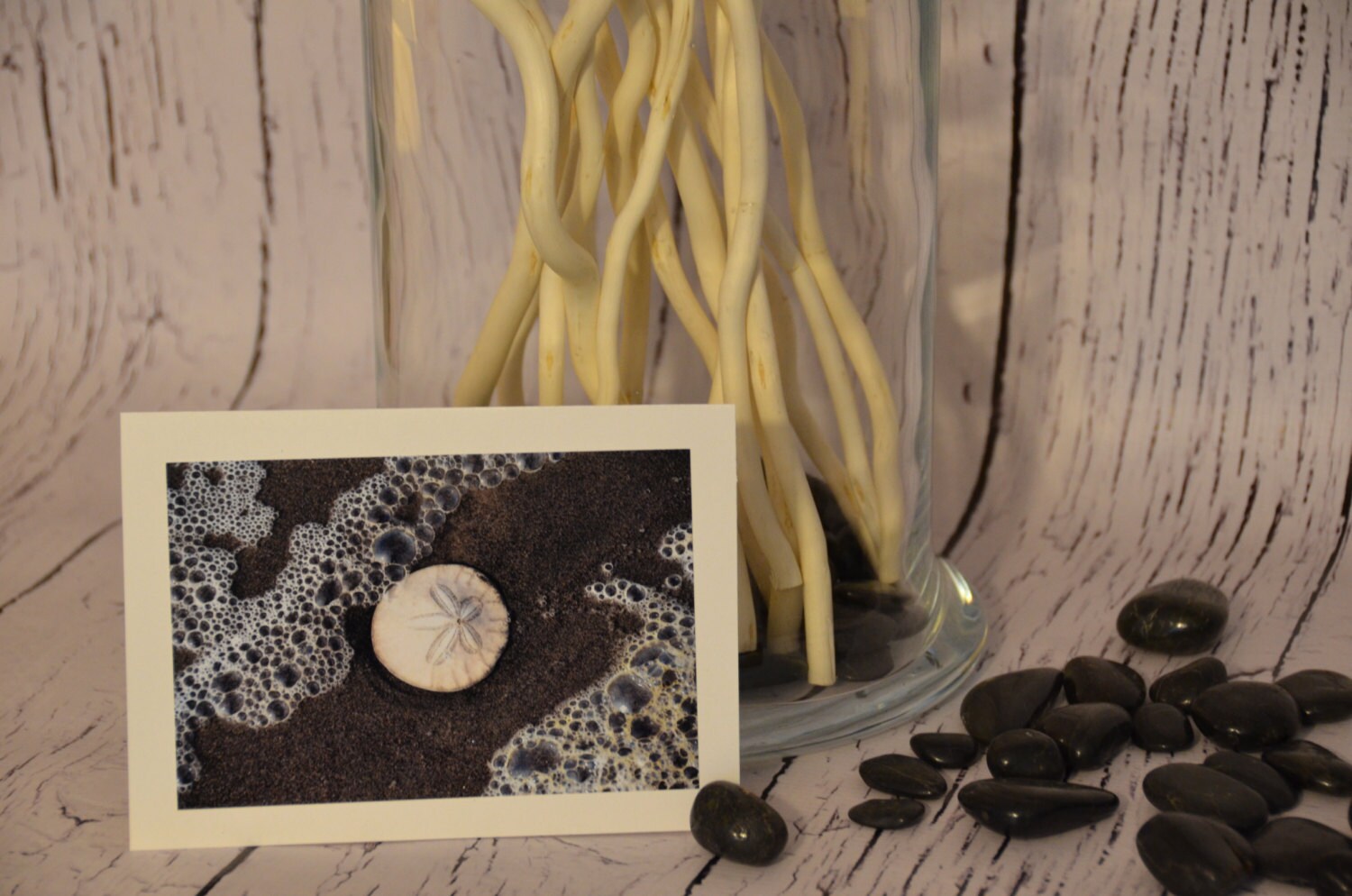 SAND DOLLAR Card, Shell Card, Nature Beach Photography, Pacific Ocean ...
