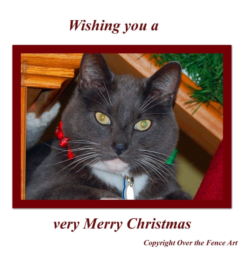 Cat Christmas Card, Cat Wishes You a Very Merry Christmas, Blank Inside ...