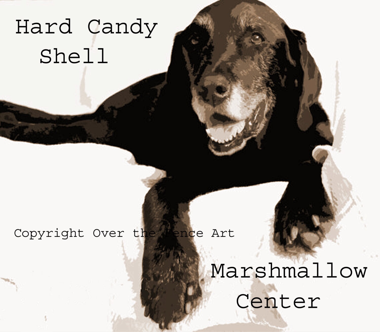 Chocolate Labrador Card Lab on Couch Portrait Hard Candy Shell ...