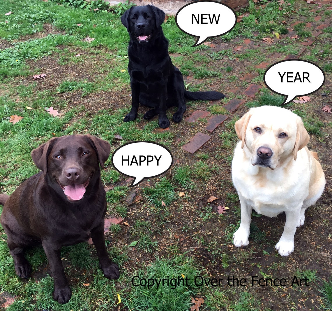 Three Labradors NEW YEARS Photo Card, Handmade Greeting Card, Black ...