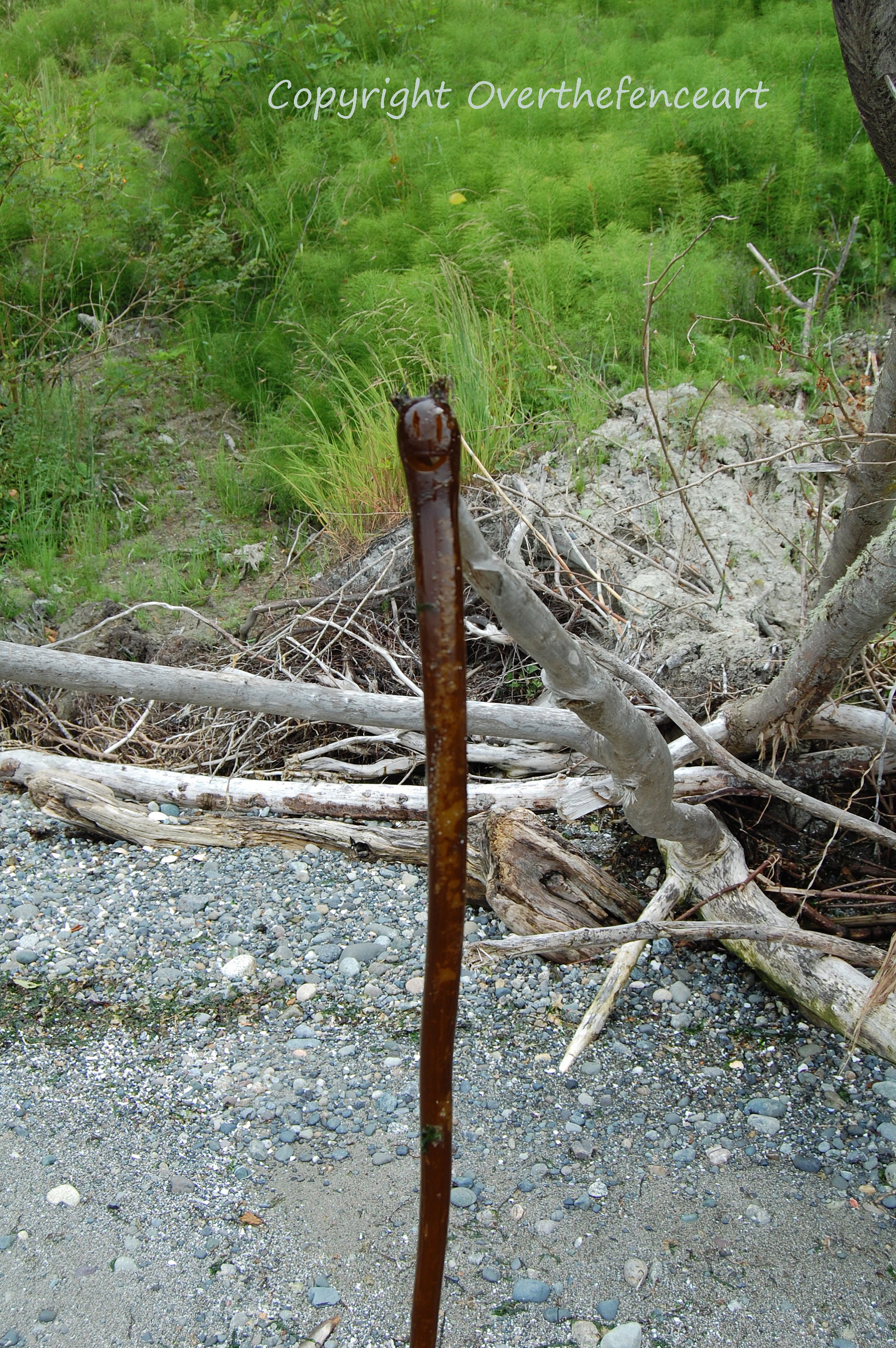 Captain Kelp. A Funny Photo Greeting Card. - Etsy