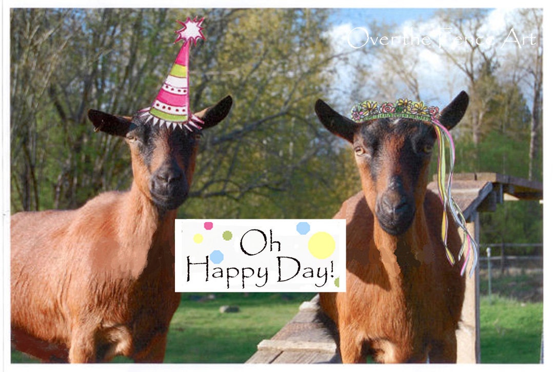 Funny Goats in Hats Celebrate With You A Photo Greeting Card - Etsy
