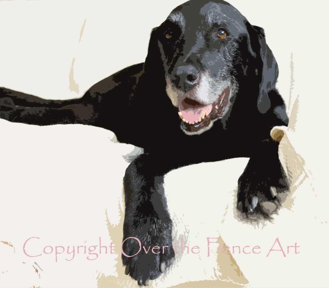 Dog Card Black Labrador Card Lab on Couch Portrait - Etsy