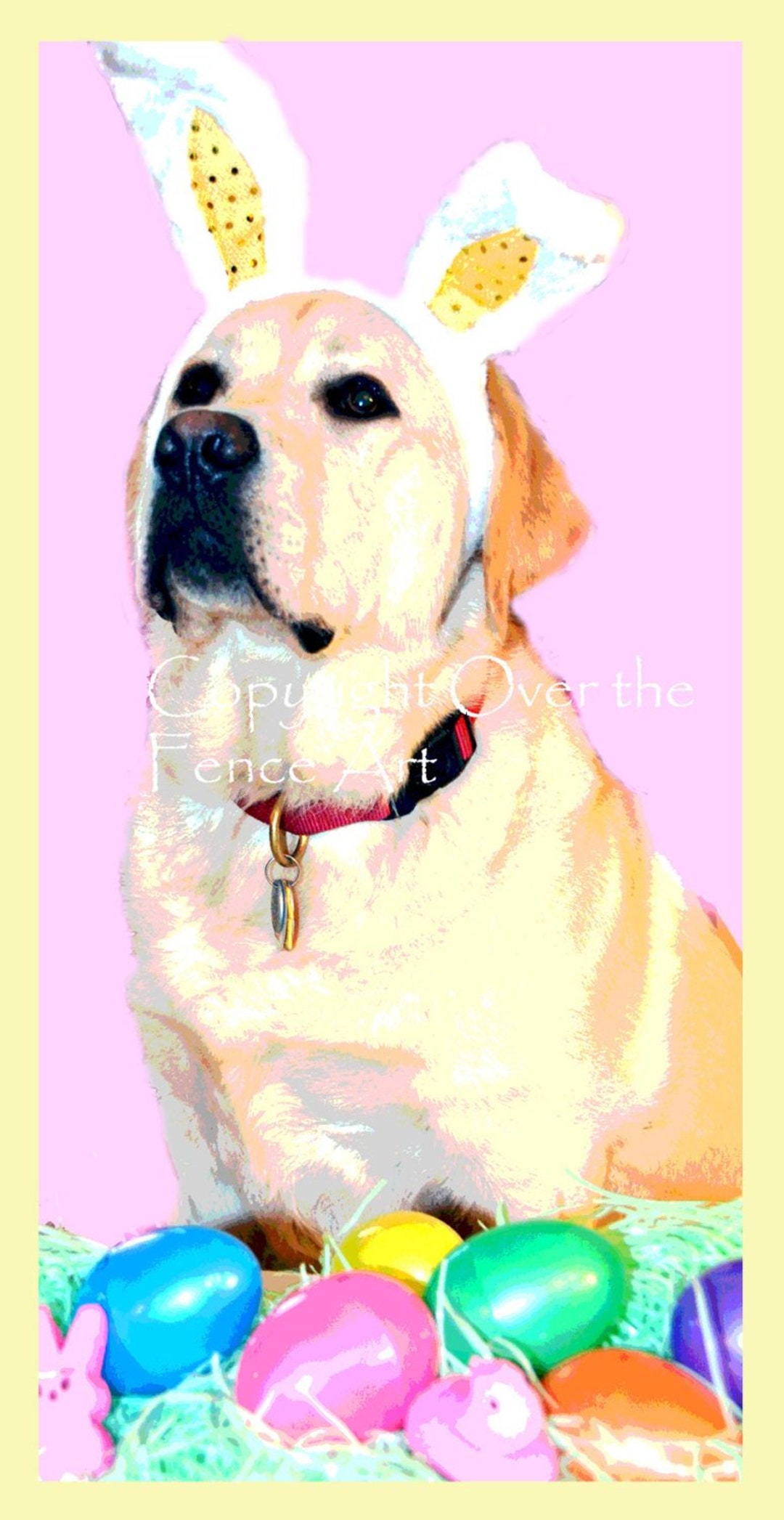 Funny Easter CARD ,yellow Labrador Wears Festive Bunny Ears, Blank ...