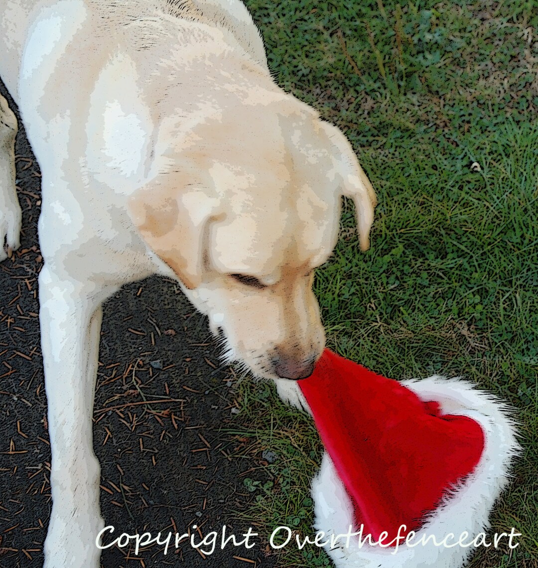 Funny Christmas Card Yellow Labrador Steals Santa Hat - Etsy