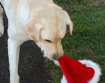 Labrador Christmas Card Yellow Labrador Steals Santa Hat Dog | Etsy