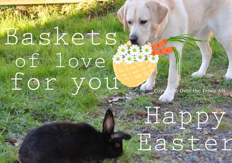 Easter CARD, Labrador Easter Bunny Card Lab Brings Bunny Easter Basket ...