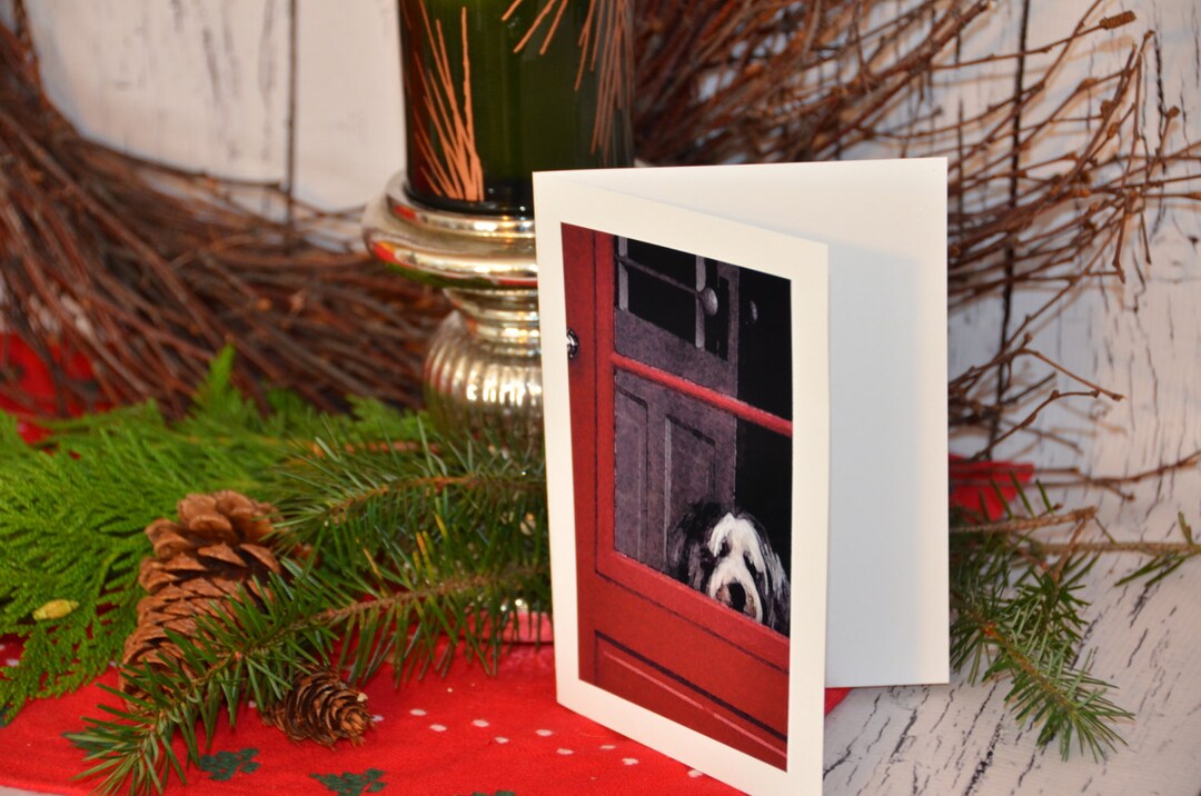 Bearded Collie Poto Card, Dog Waits for Your Return, Dog Photography ...