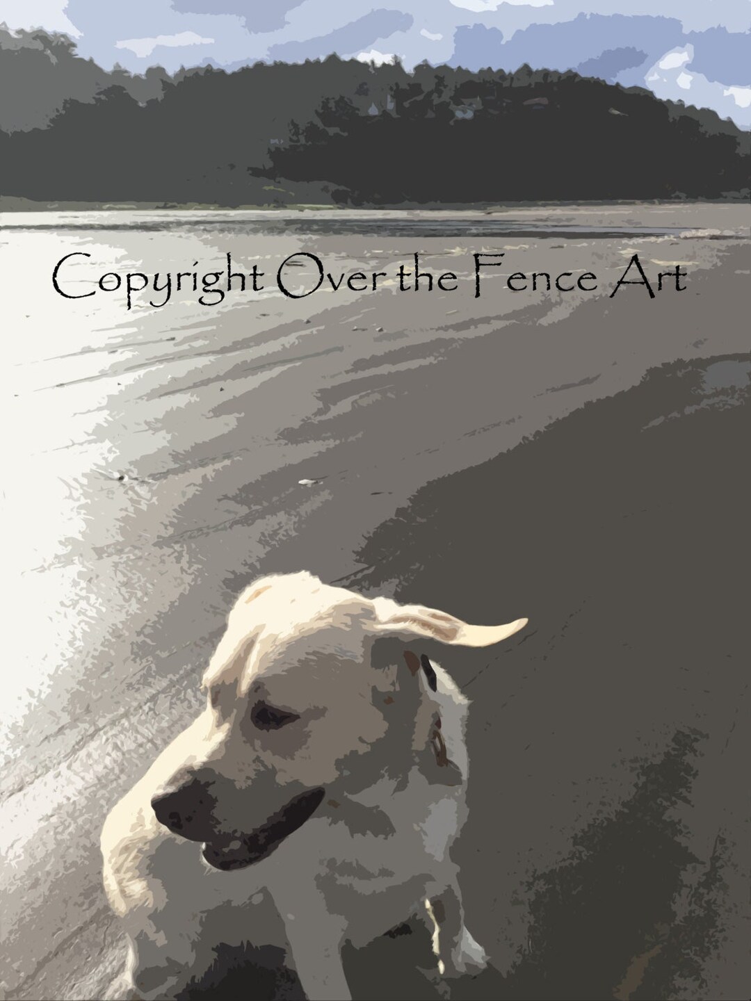 Photo Greeting Card, Posterized Art Card, Yellow Labrador Card Enjoys ...