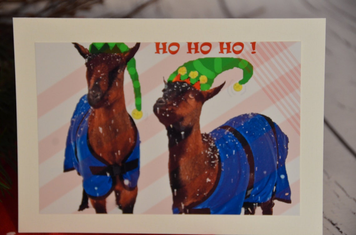 Festive Goats Christmas Card Card Goats in Elf Hats Ho Ho - Etsy