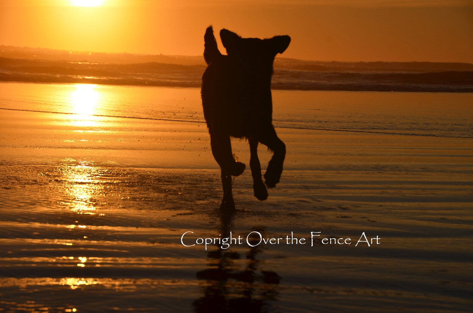 Dog Running at Sunset Beach Card Handmade Photo Greeting Card Landscape ...