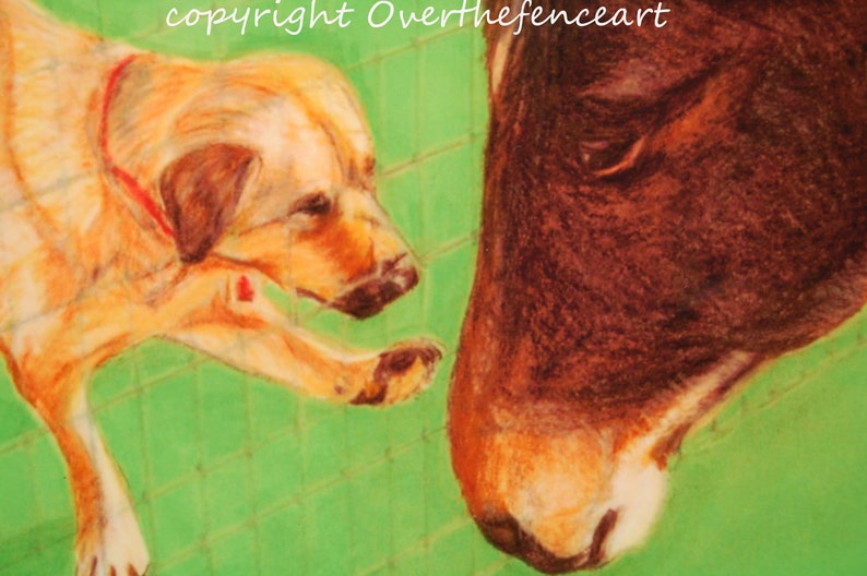 Art Card Dog and Horse Meet at Fence Line Friendship Card - Etsy
