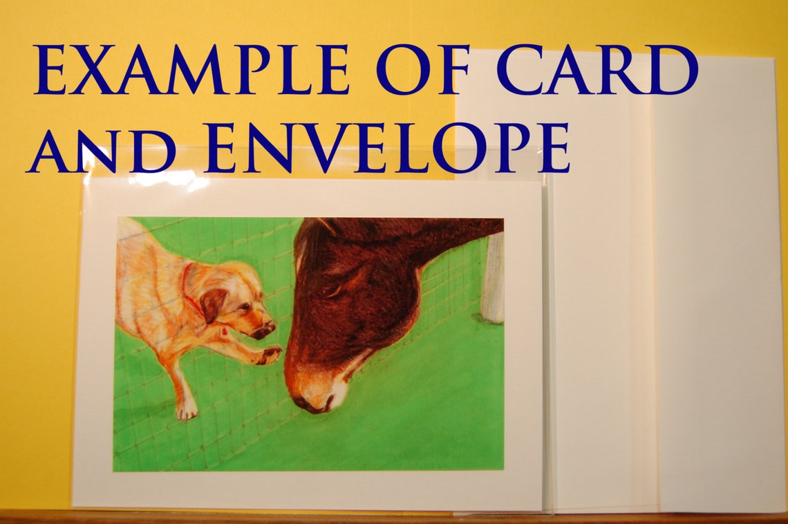 Yellow Labrador Card in Black and White Photography Yellow Lab is ...