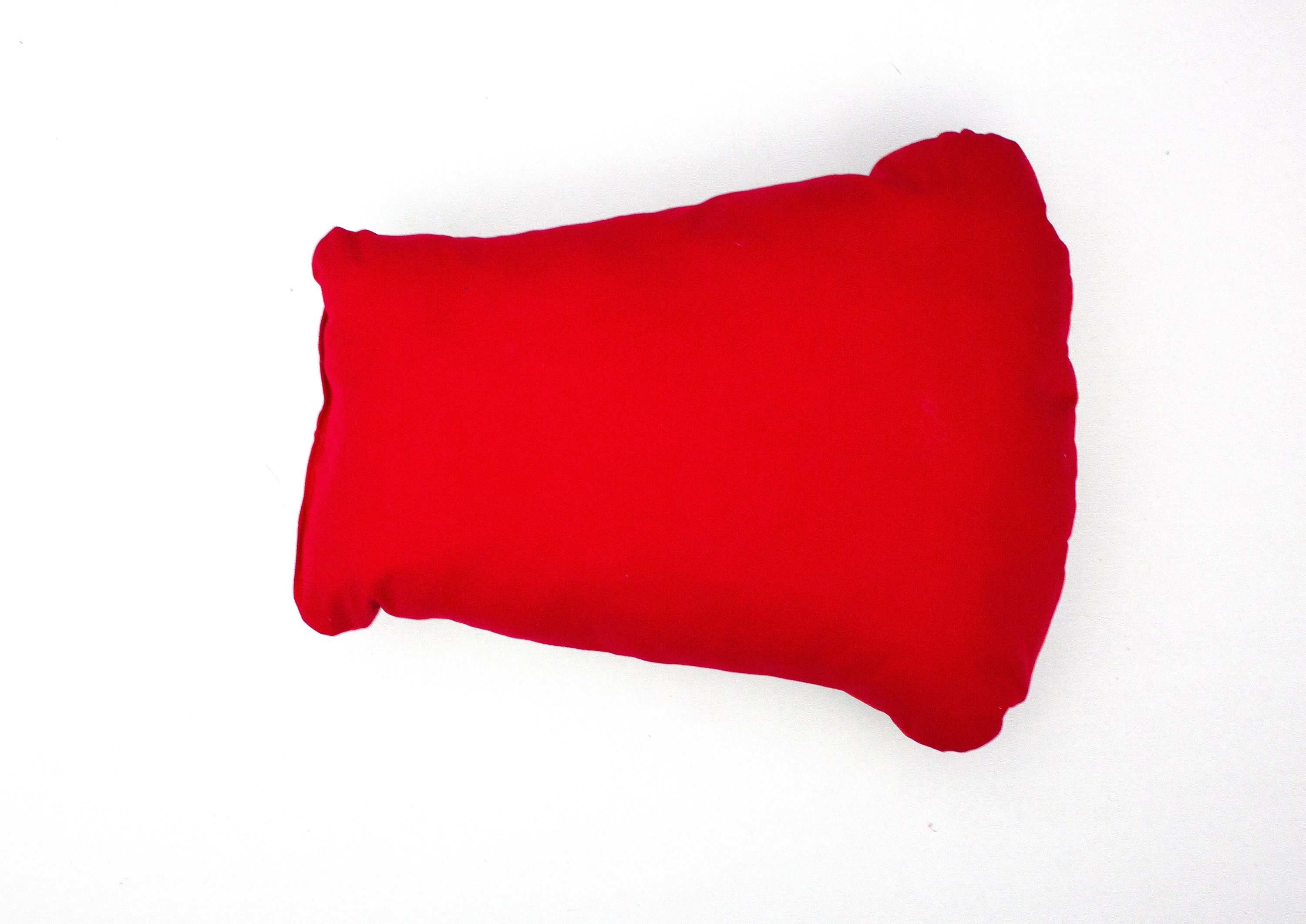 Ramen soup pillow decorative pillow Food lover pillow | Etsy