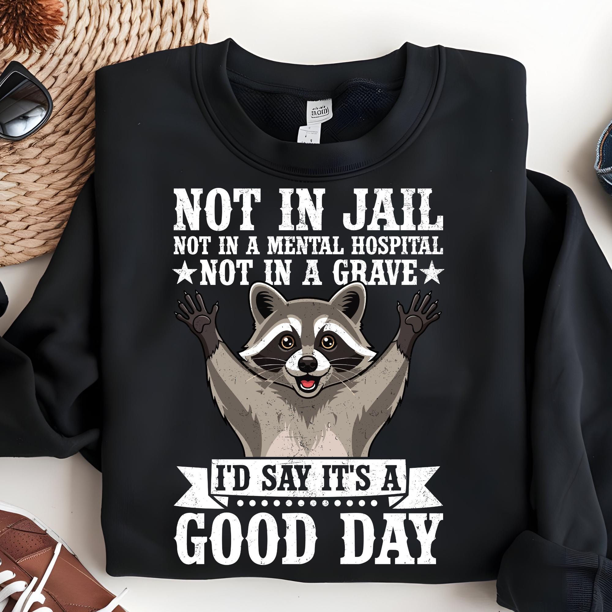 Funny Raccoon Sarcastic PNG, Good Day Meme (digital Download) - Etsy