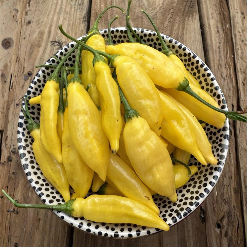 10 Aji Lemon Drop Organic Pepper Seeds - Hot Yellow Chili - Etsy