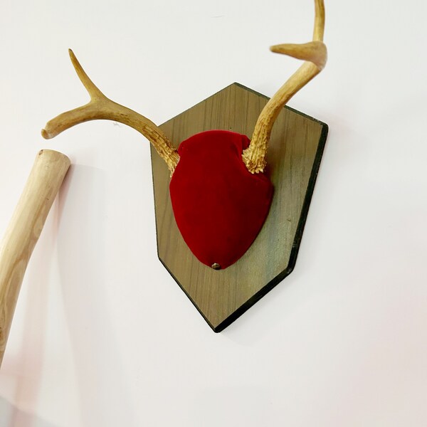 Deer Antler Mount - Etsy