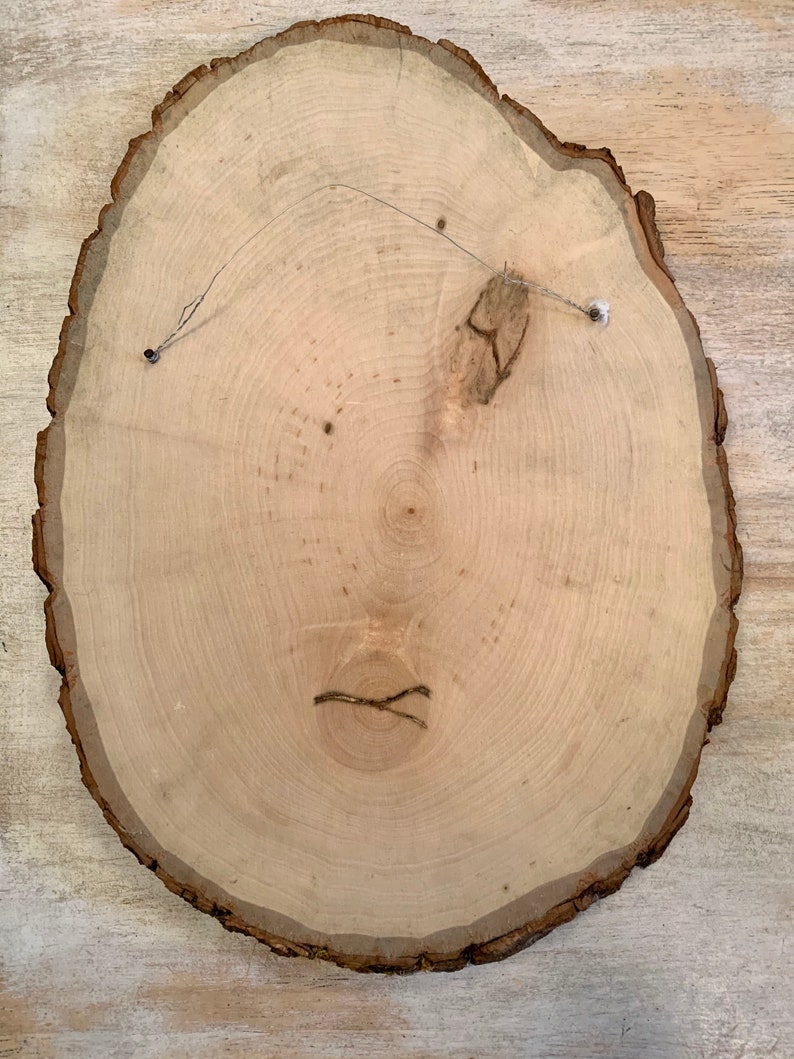 Live Edge Tree Trunk Original Art Baby Birds in Nest Rustic Farmhouse ...