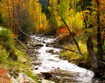 Mcgee Creek Landscape Photo of the Fall Colors at a Creek. - Etsy