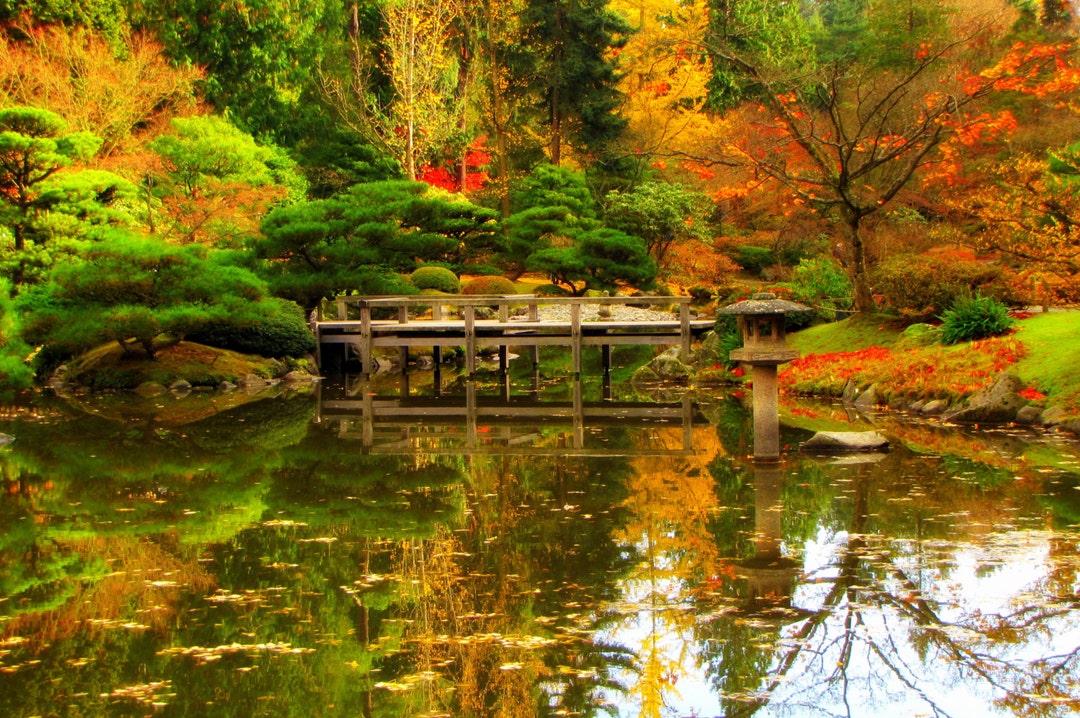 The Calming Bridge - Etsy