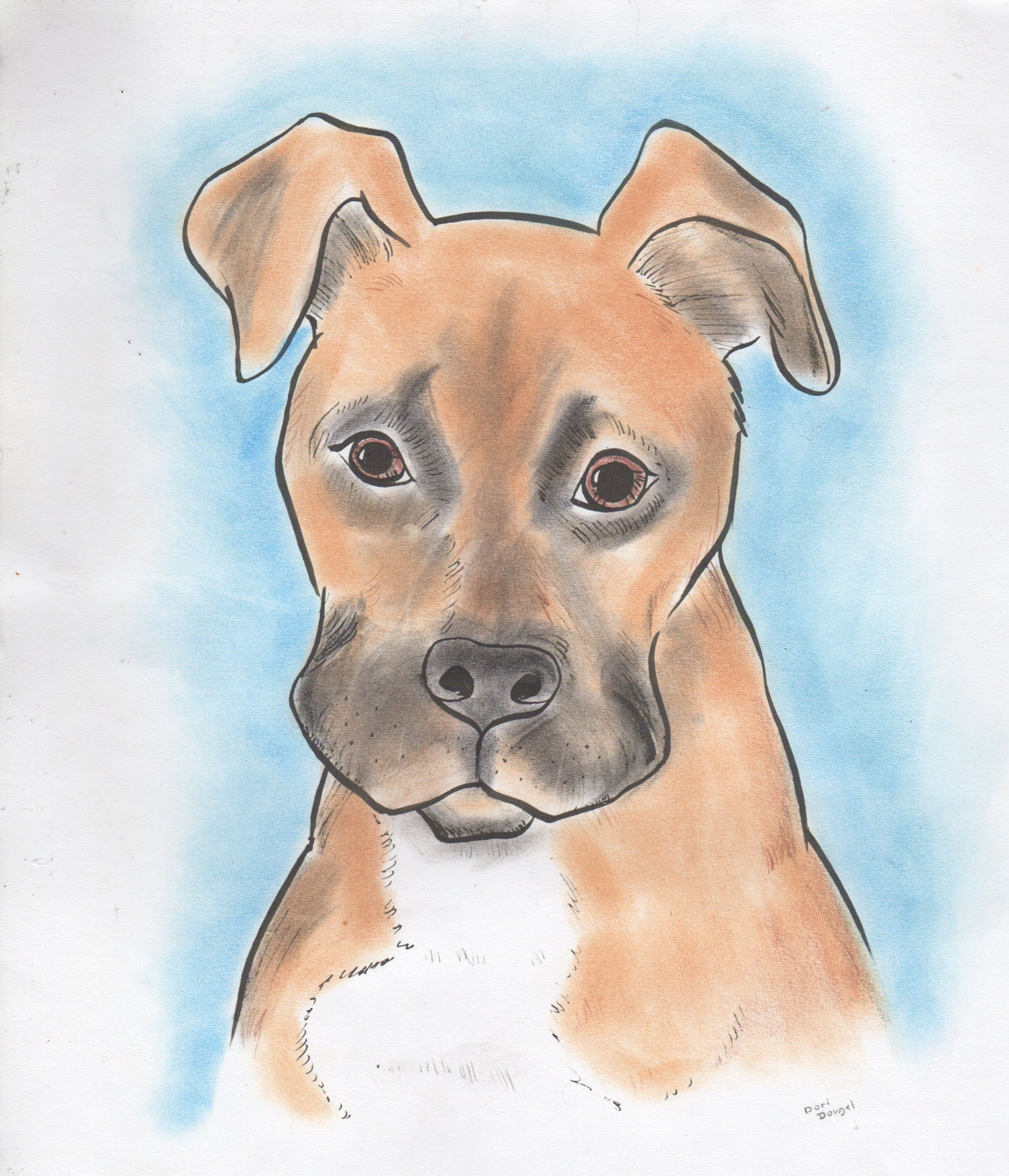 Dog Drawing Color