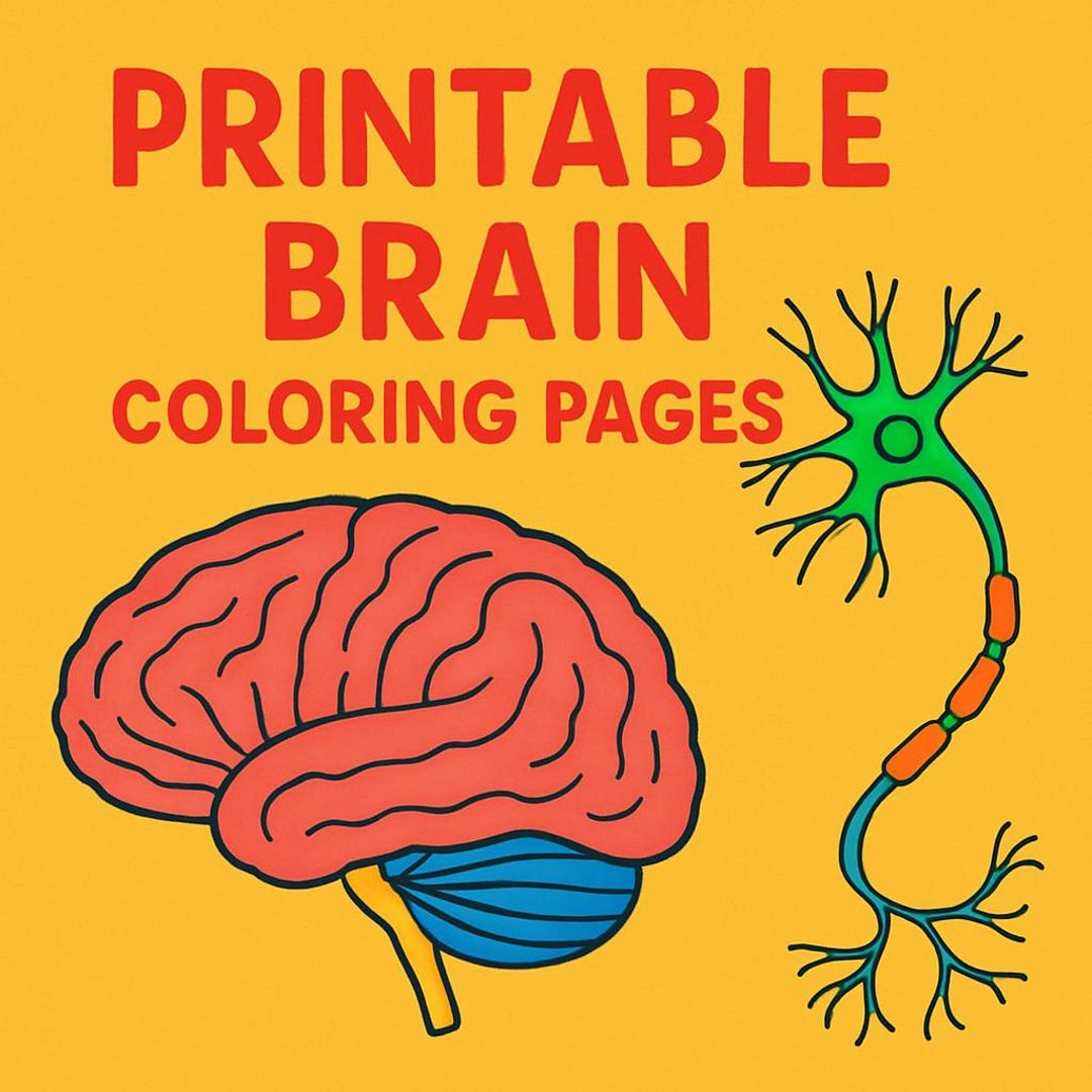 Brain Coloring Pages Bundle | Printable PDF/PNG Instant Download - Etsy
