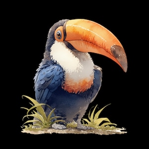 Toucan Clipart Bundle: Tropical Bird PNG, Colorful Jungle Art, Exotic ...