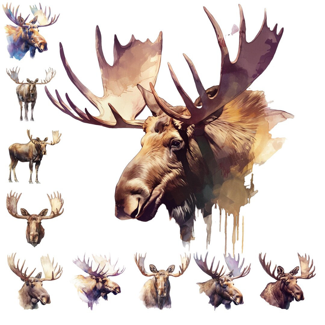 Moose Clipart Bundle | PNG Designs (digital Download - Etsy