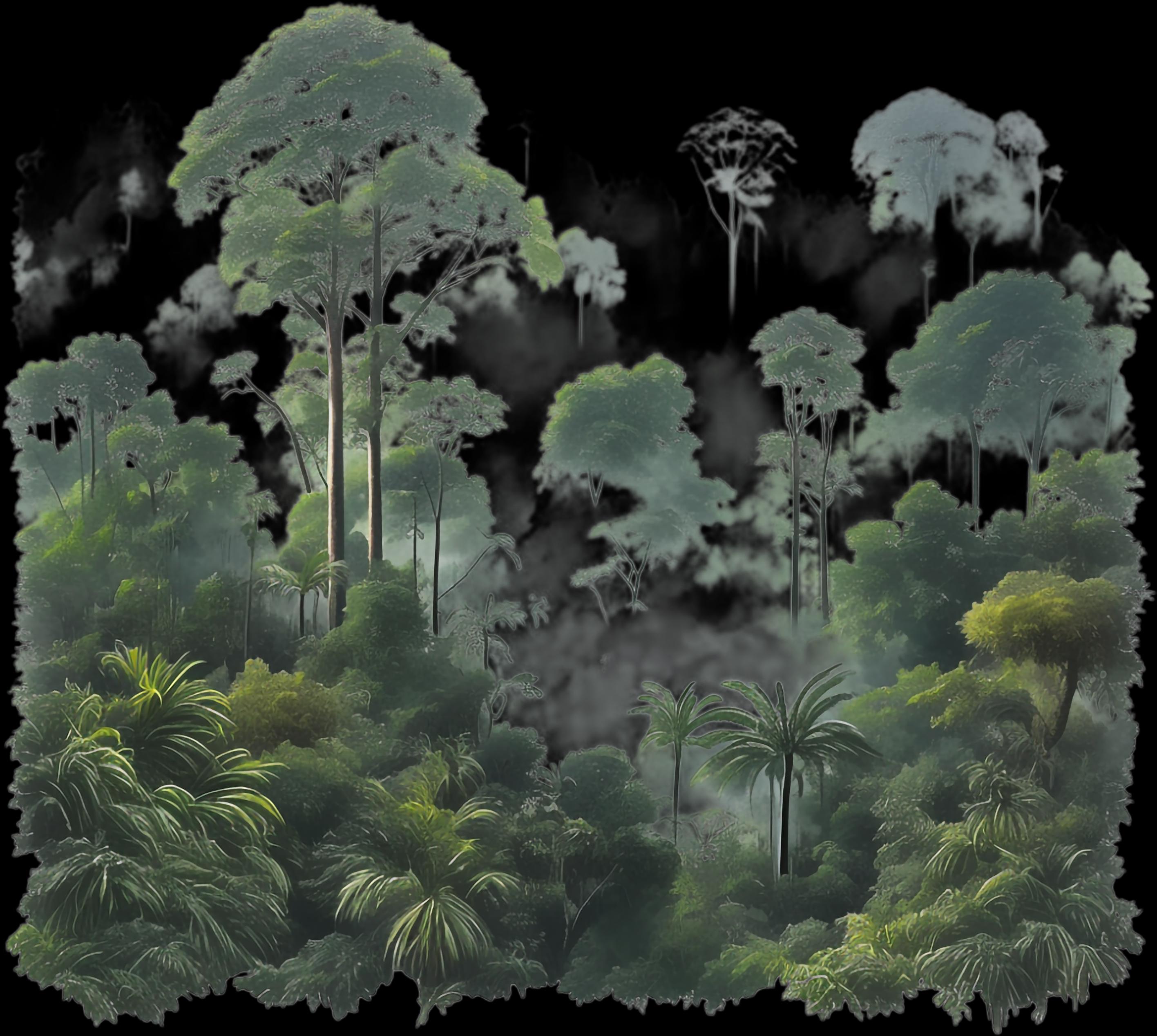 Lush Rainforest Clipart Bundle – Jungle Art Printables, Digital ...