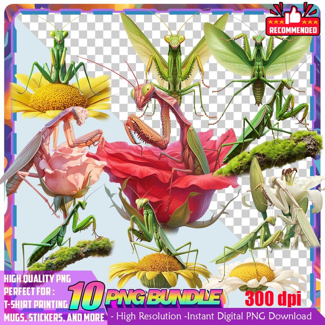 Praying Mantis Clipart Bundle | Majestic Insect Illustration | Wildlife ...