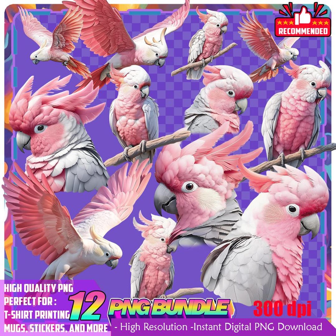 Whimsical Galah Cockatoo Clipart | Pink Cockatoo Digital Paper ...