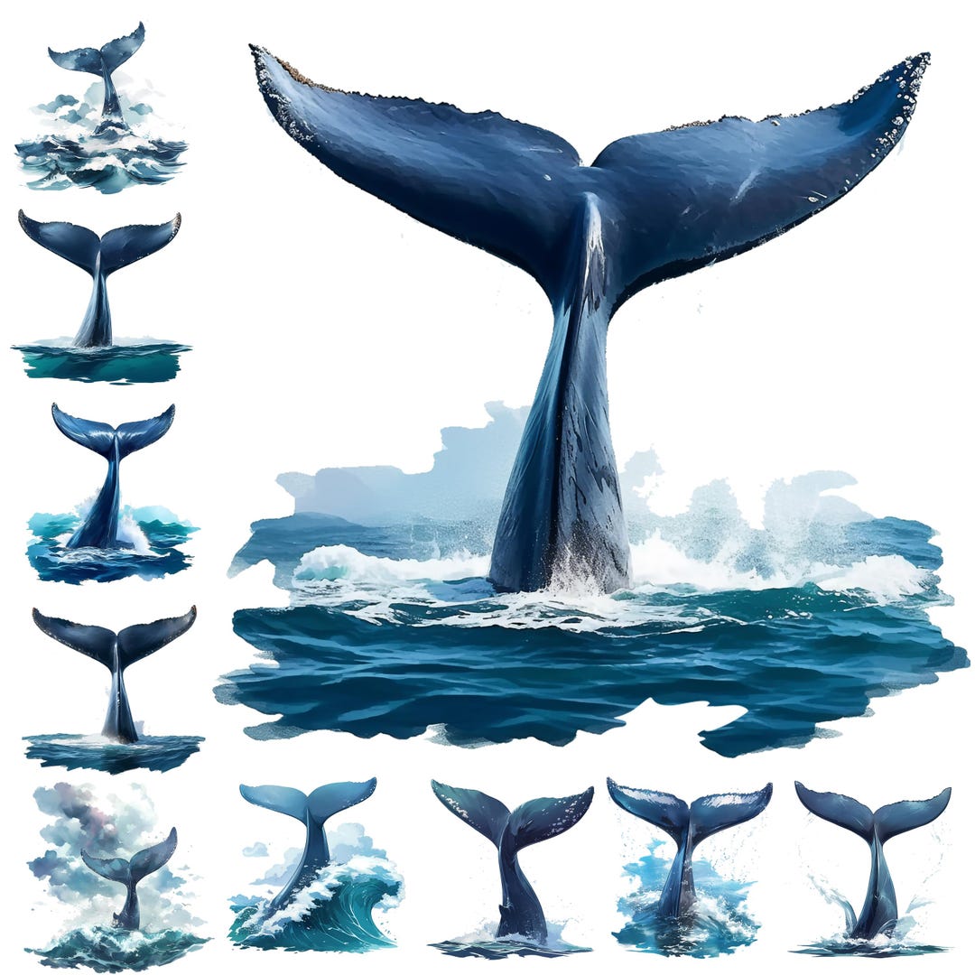 Elegant Whale Tail Clipart Bundle: Marine Art Designs (digital Download ...