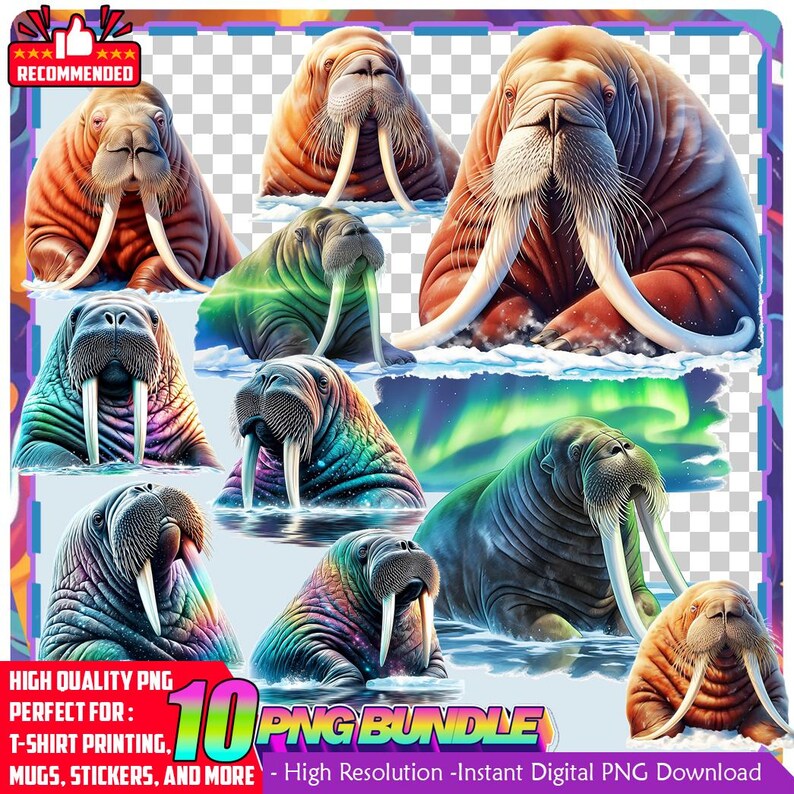 Walrus Clipart Bundle PNG - Watercolor Arctic Animal Illustrations for ...
