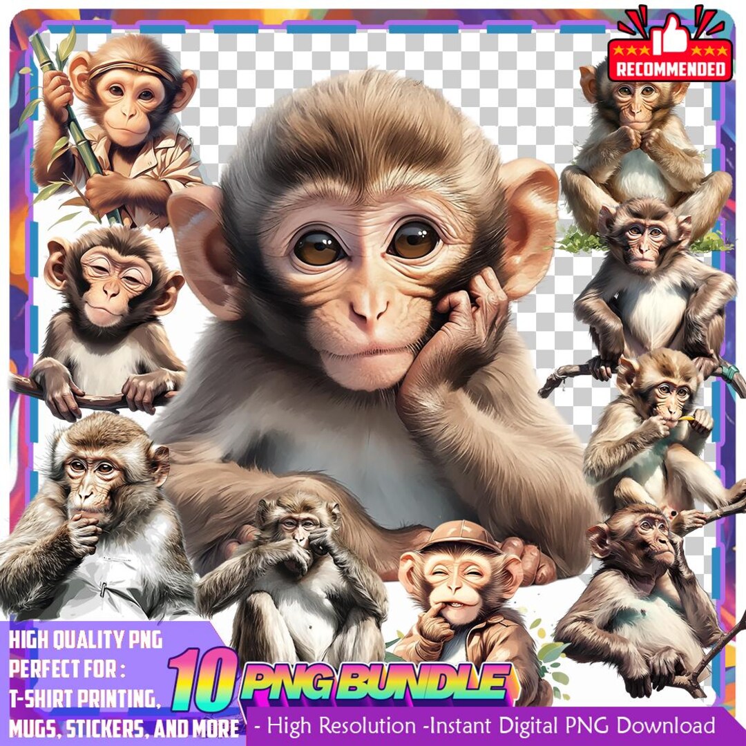 Cool Monkey Clipart | Stylish Cool Monkey Clipart Bundle | 10 High ...