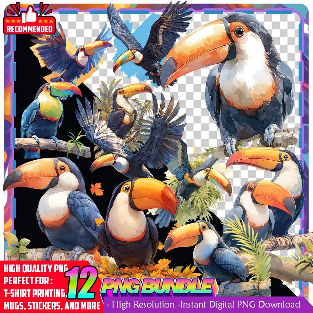 Toucan Clipart Bundle: Tropical Bird PNG, Colorful Jungle Art, Exotic ...