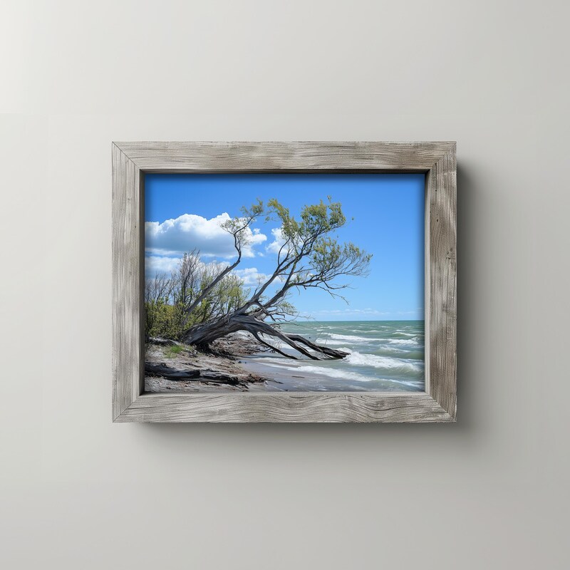 Windblown - Etsy