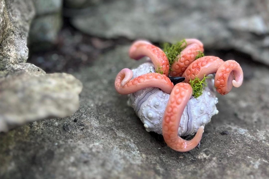 Star Spawn Hatchling - A Grimm Design Collection - Creepy Creature ...