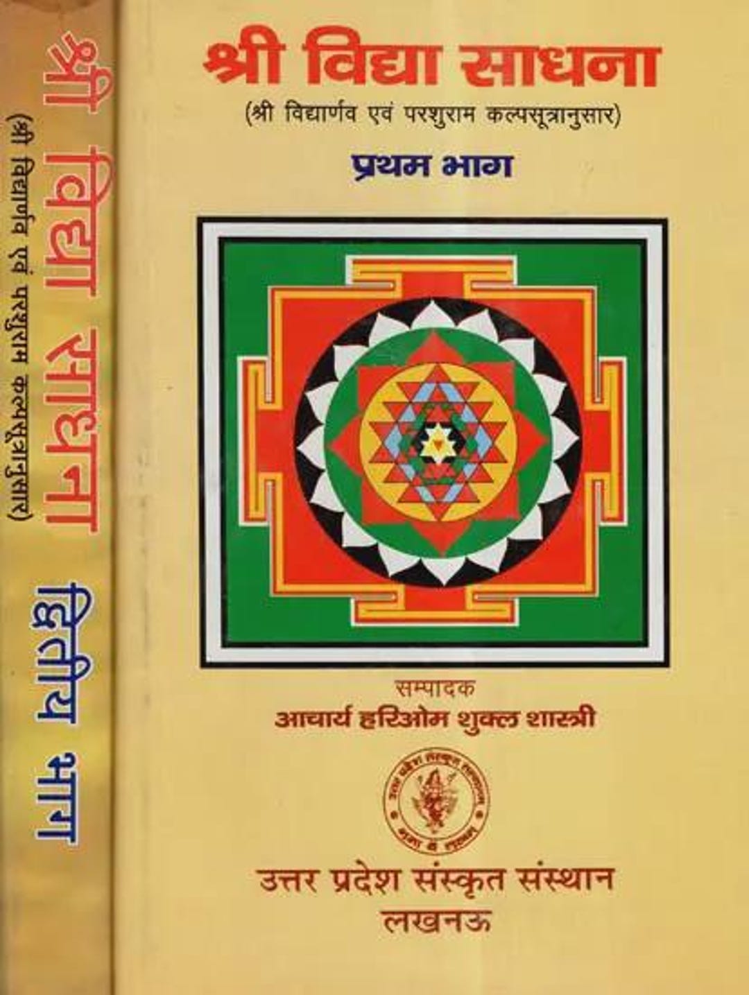 Rare Sri Vidya Sadhna- According to Shri Vidya and Parashuram ...