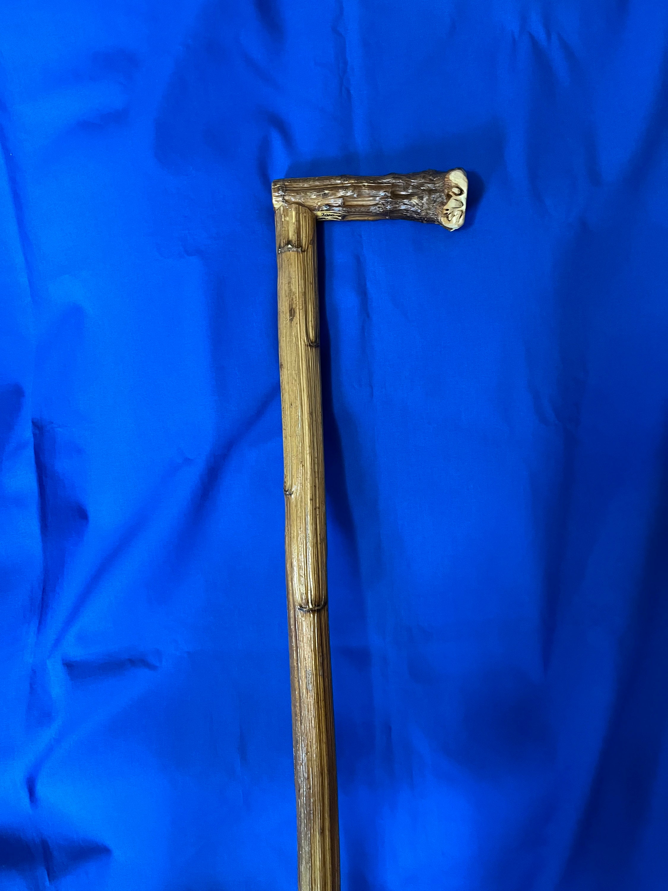 Cane Walking Stick Sunflower Stalk - Etsy